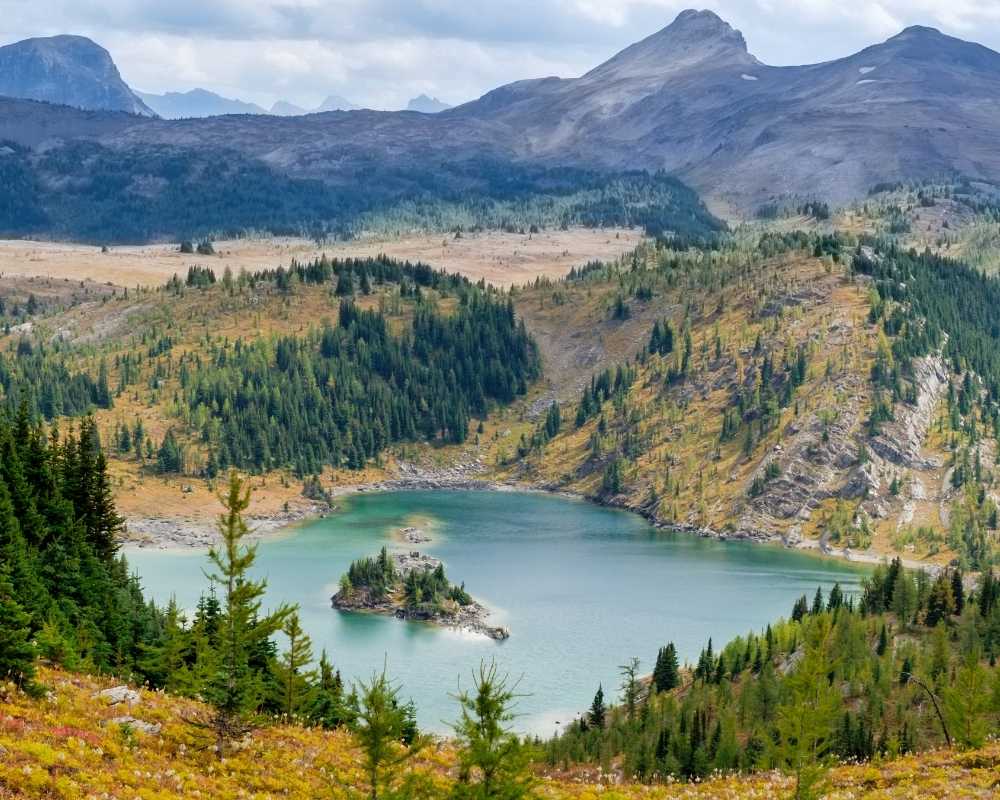 Sunshine Meadows: Top Hike in the Canadian Rockies