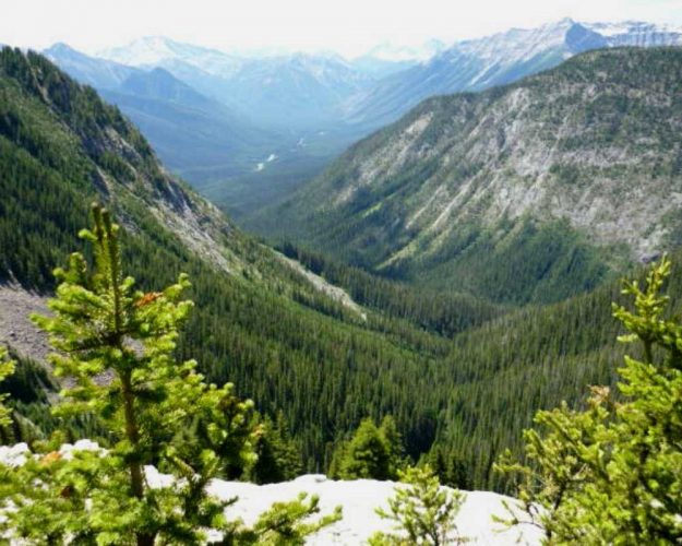 Sunshine Meadows: Top Hike in the Canadian Rockies