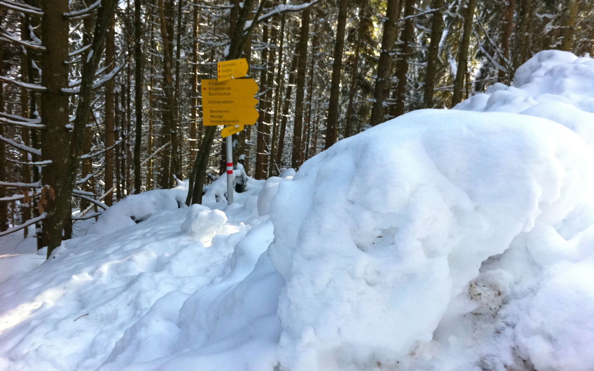 Top3 Types of Winter Hiking in the German Alps