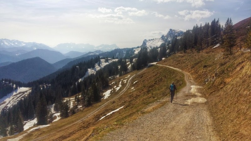 Hikes in the German Alps: The Best Trails for Mountain Lovers