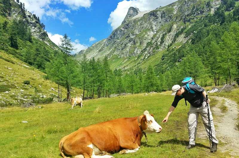 How to Experience Adventure in the Austrian Alps