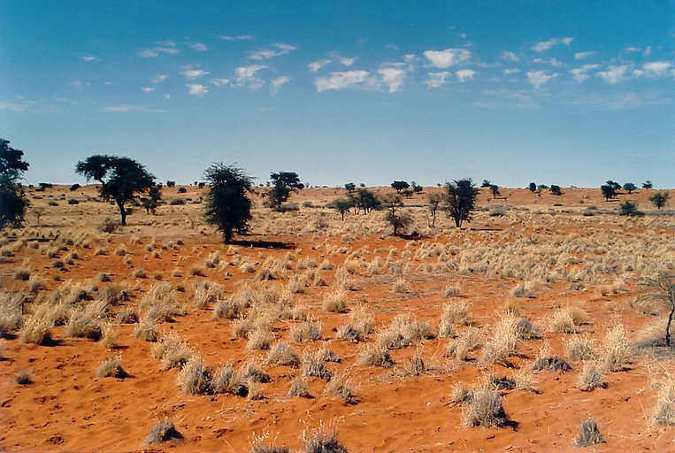 6 Beautiful Places to Visit in Namibia for Nature