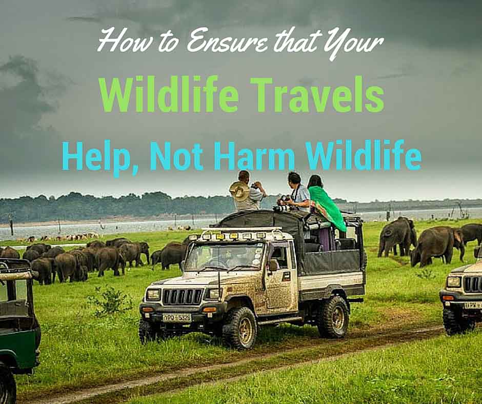 how wildife travel helps wildlife conservation fb - Monkeys and ...
