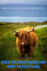 West Highland Way: How to Plan For Scotland's First Long-Distance Hike