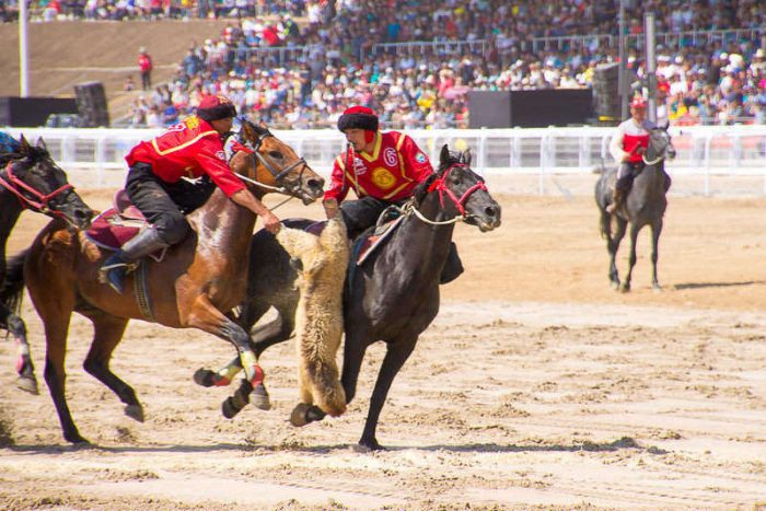 World Nomad Games: 19 Tips You Need to Know Before You Go