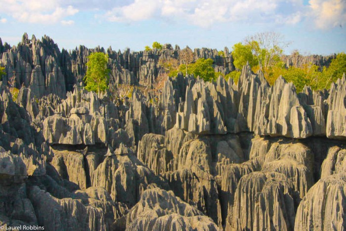 28 Interesting Madagascar Facts: How Many Do You Know?