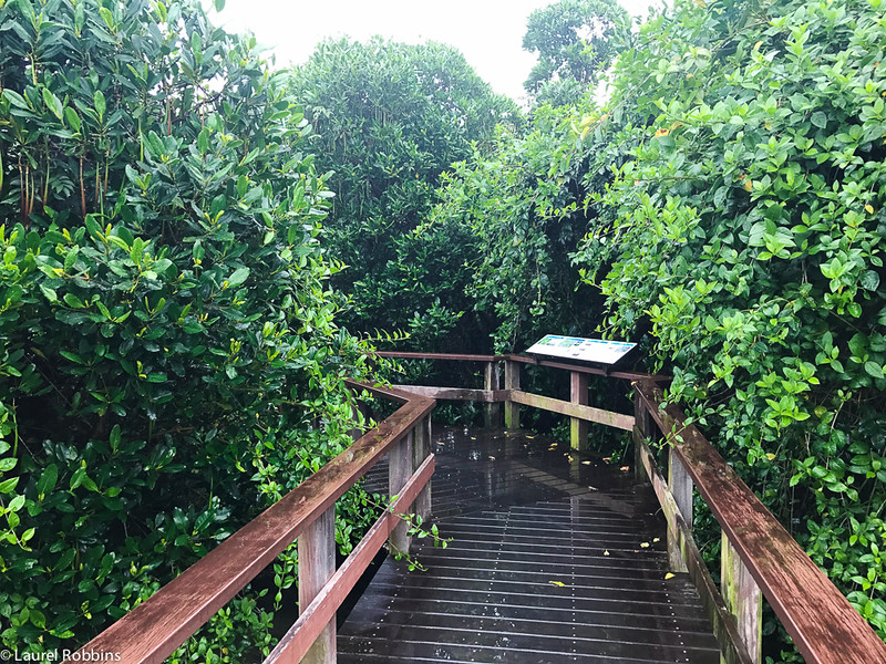 22 Photos That Will Make You Wish You Were in Okinawa, Japan