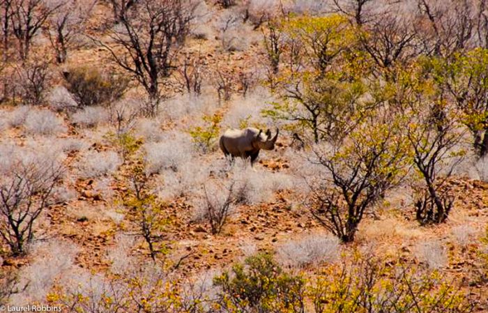 Namibia: 11 Fun Facts You Probably Don't Know