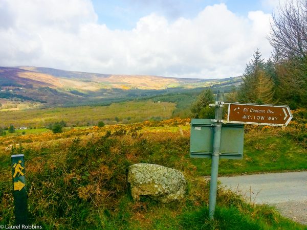 Wicklow Way Tour