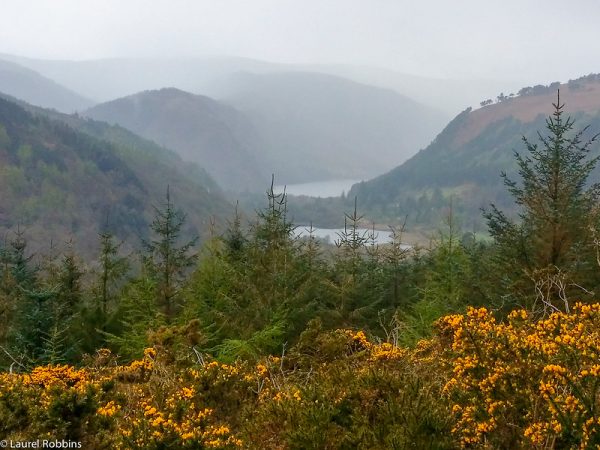 Wicklow Way Tour