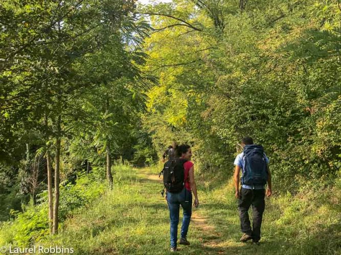 How to Hike From Bologna to Florence on the Path of Gods Italy