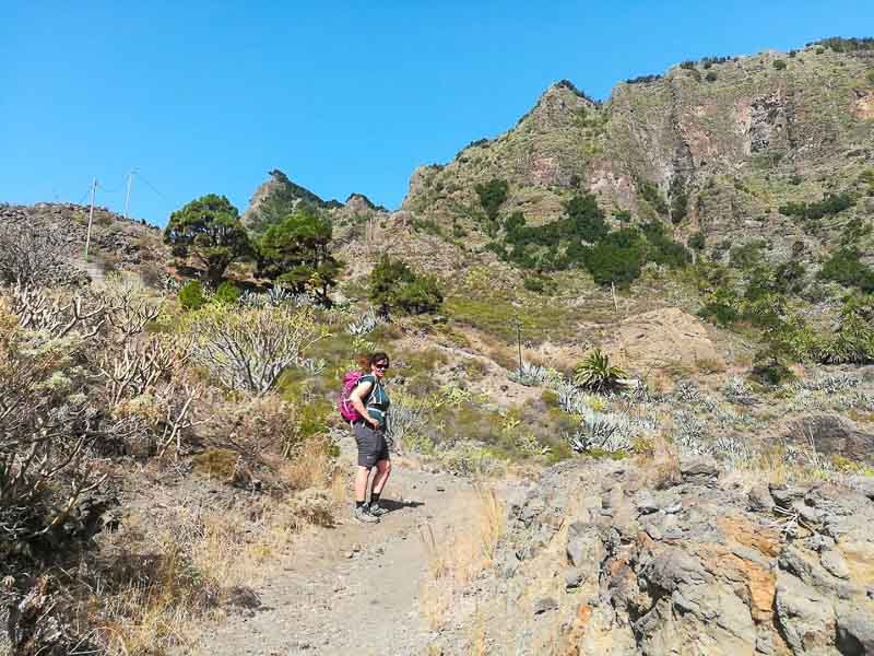 Hiking In La Gomera Why You ll Want To Do A 7 Day Self Guided Hike