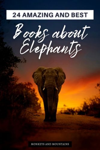 24 Best Books About Elephants (2026): Top Picks for Kids and Adults