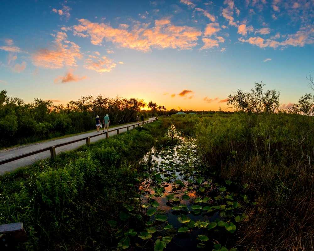 16 Things To Do in the Everglades That Every Traveller can Enjoy
