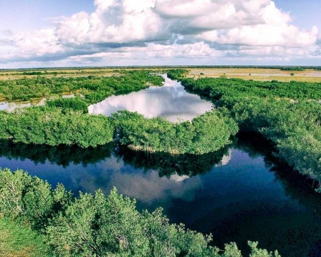 16 Things To Do in the Everglades That Every Traveller can Enjoy