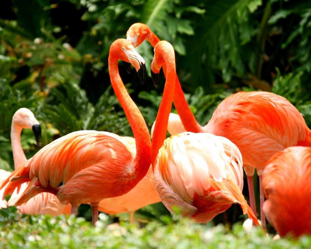16 Things To Do in the Everglades That Every Traveller can Enjoy