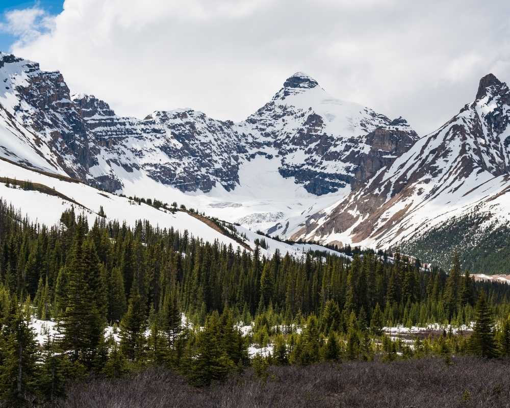 Snowshoeing in Canada: 15 Best Trails in the Rockies