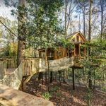 14 Treehouse Rentals in Georgia for an Epic Vacation